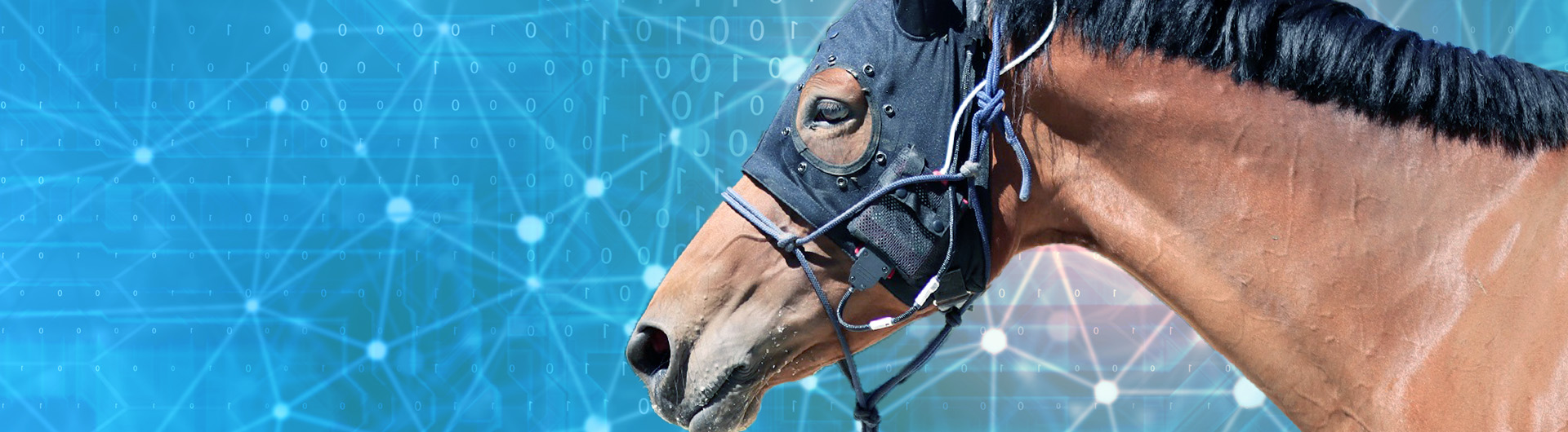 Ultra-Mobile EEG Solution for Animals | ANT Neuro