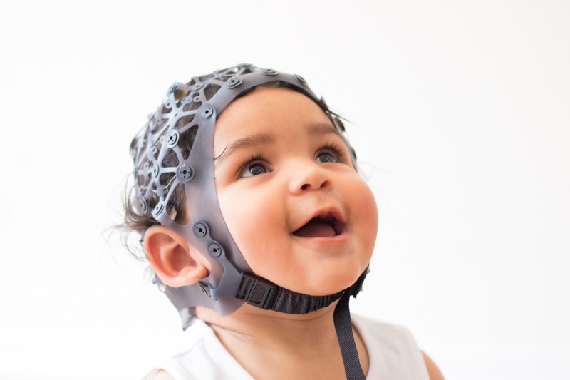 waveguard net