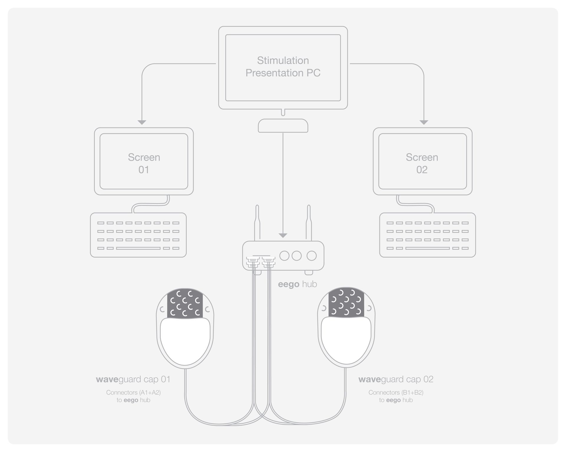 Learn more about Hyperscanning